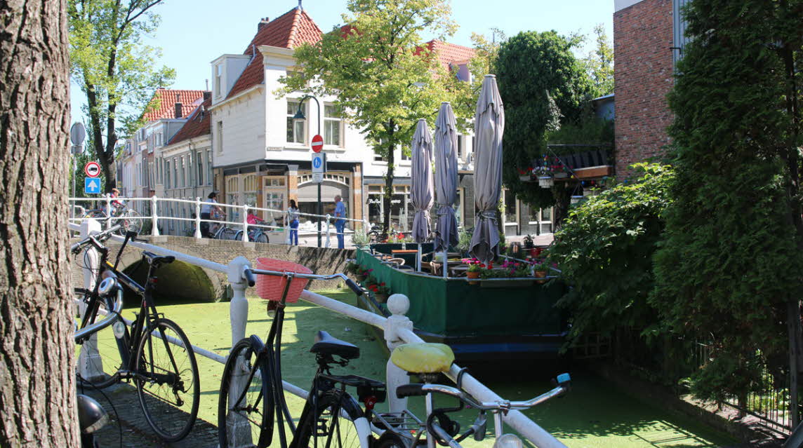 Delftse Hout | The Caravan Club